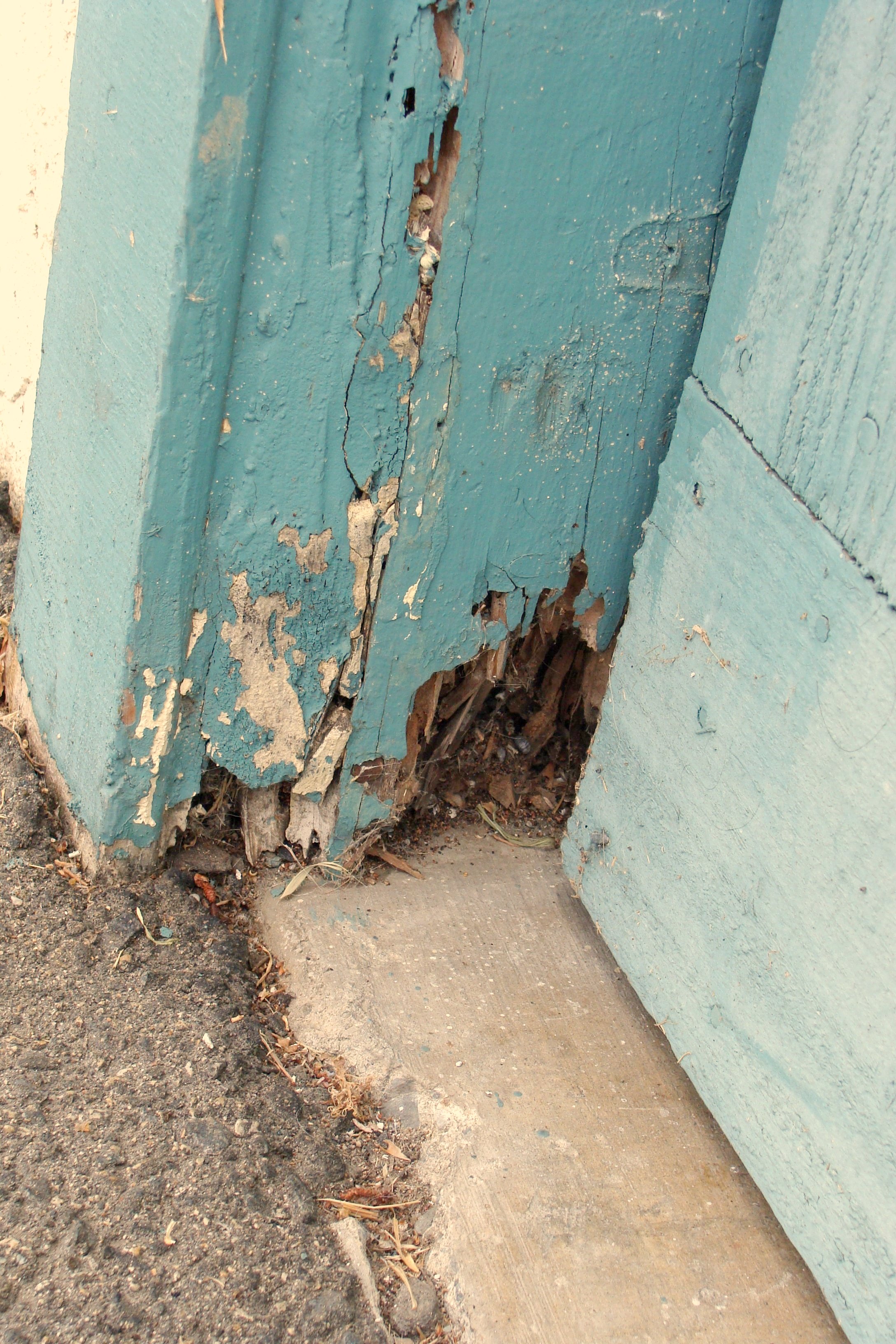 AmericAssist Photographic Docmentation Gallery